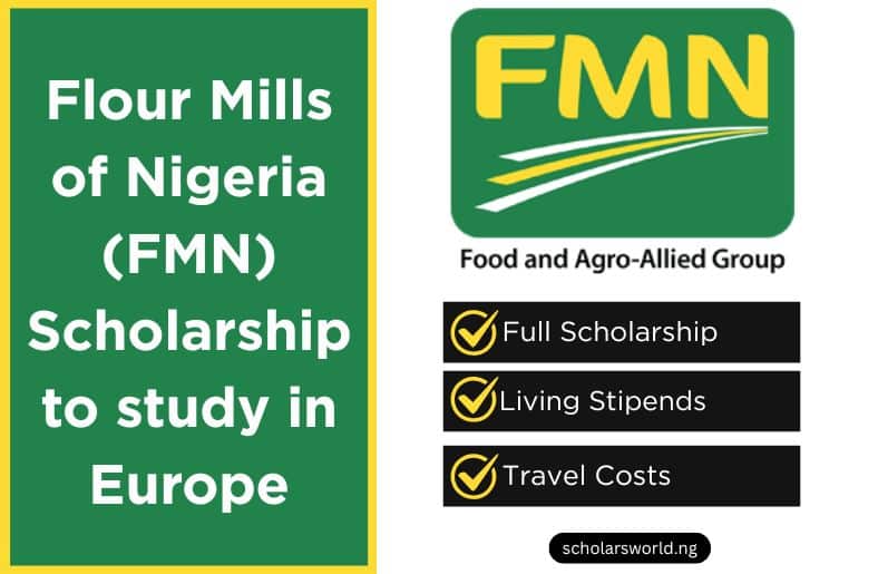 Flour Mills of Nigeria Scholarship 2025 to Study in Europe: Fully ...