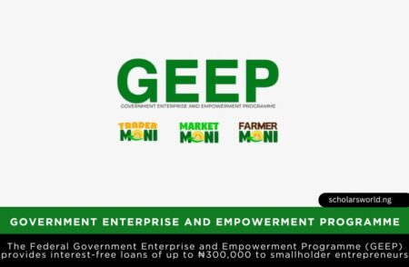 Federal Government Enterprise and Empowerment Programme (GEEP) 2026 for ...